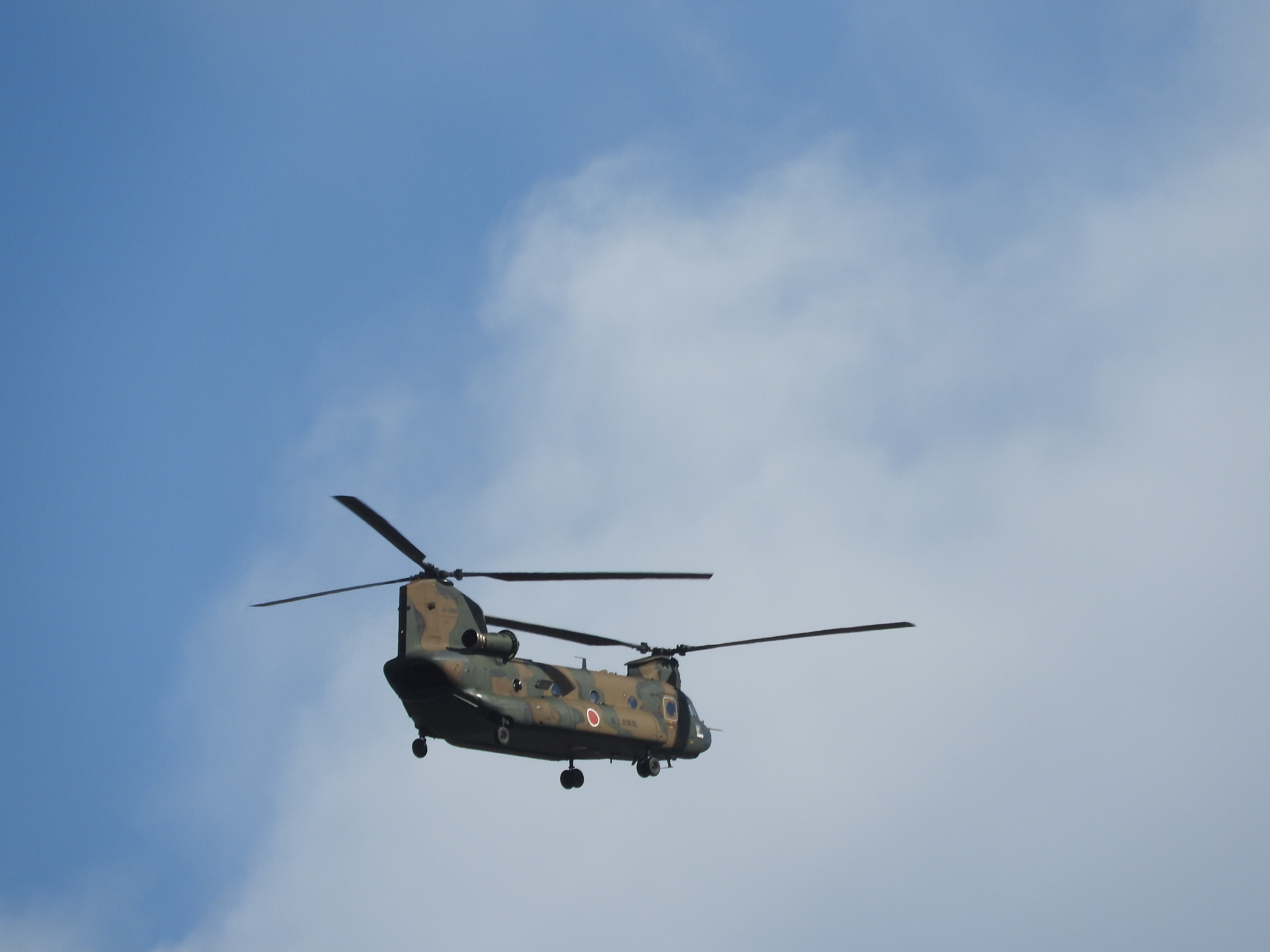 初降下 | TORQUE STYLE