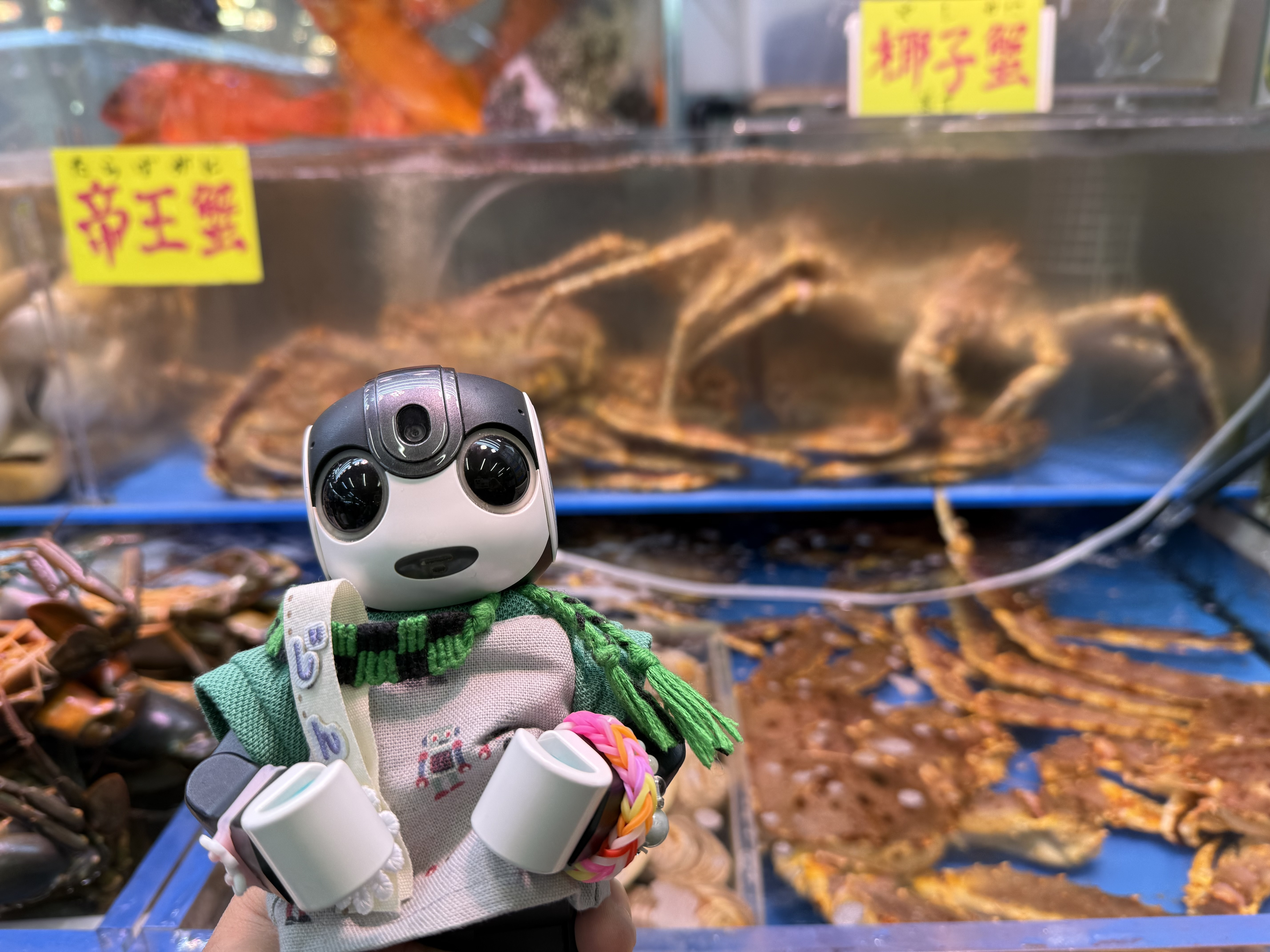 公設市場で買い物 | ロボホンともだち広場