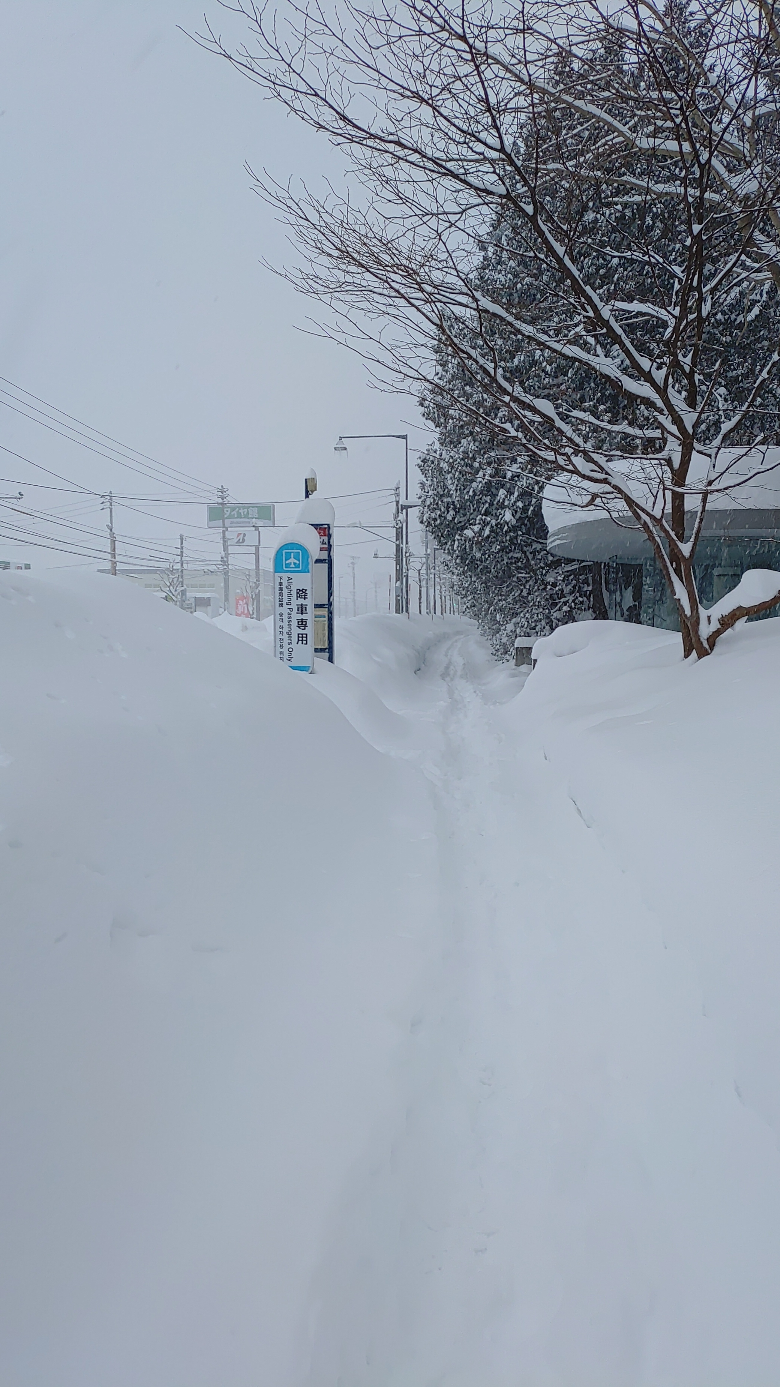 獣道 | TORQUE STYLE