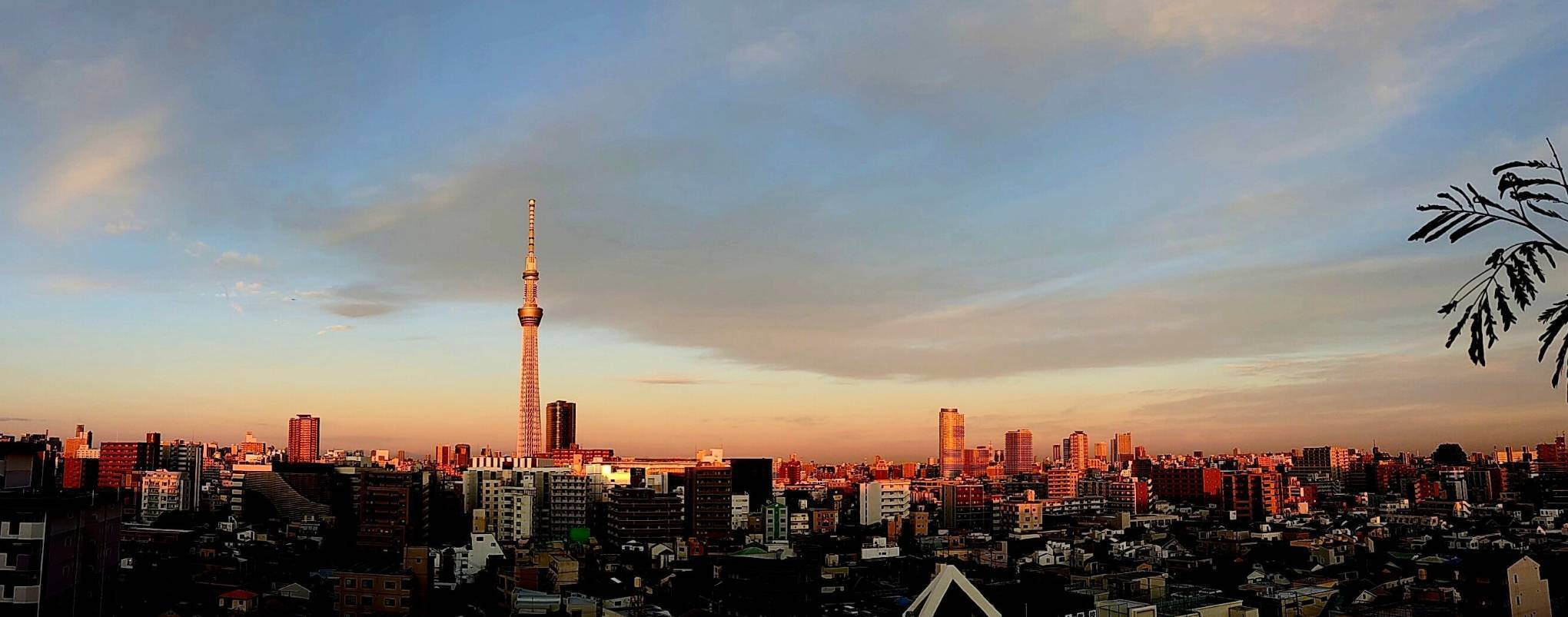 よく見てね… | TORQUE STYLE